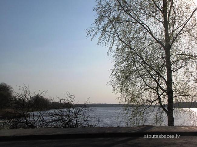 Latvija,ezeri.Balvu ezers. - Spoki