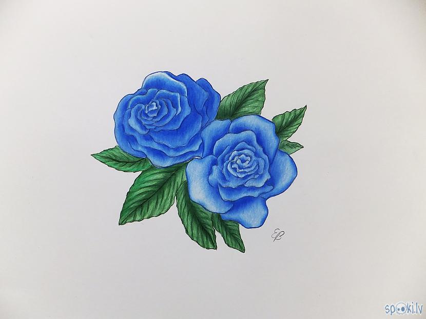 Kā uzzīmēt zilas Rozes - Spoki